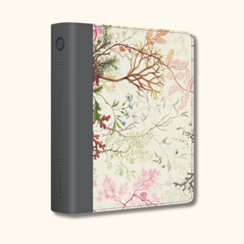 Recommendations | Heartdive.org