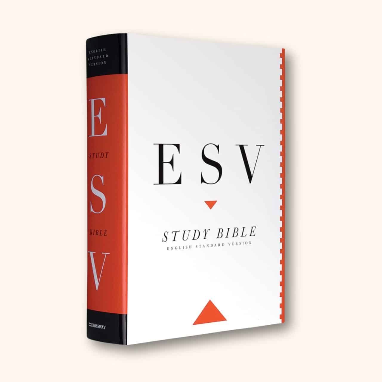 Recommendations | Heartdive.org