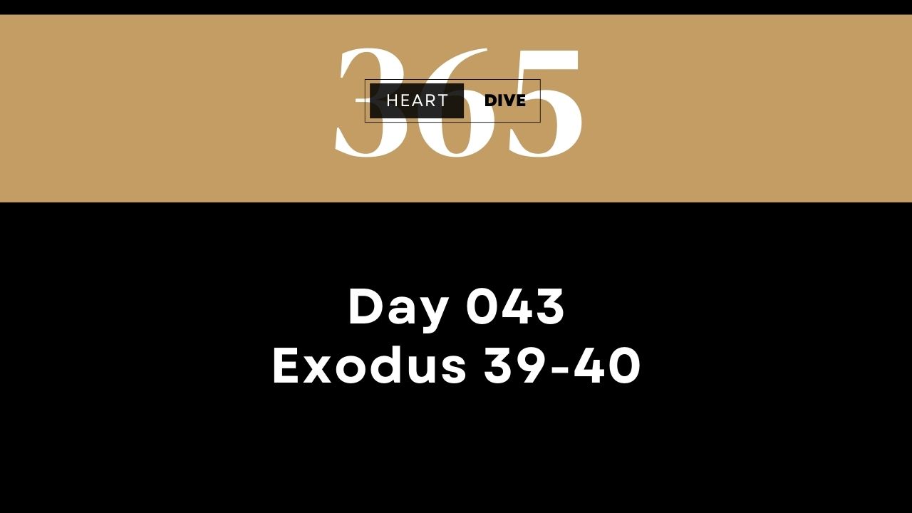 2024 - heartdive.org