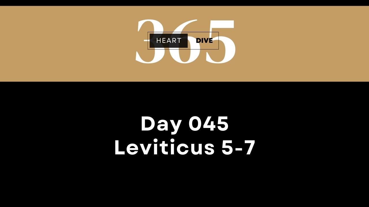 2024 - heartdive.org