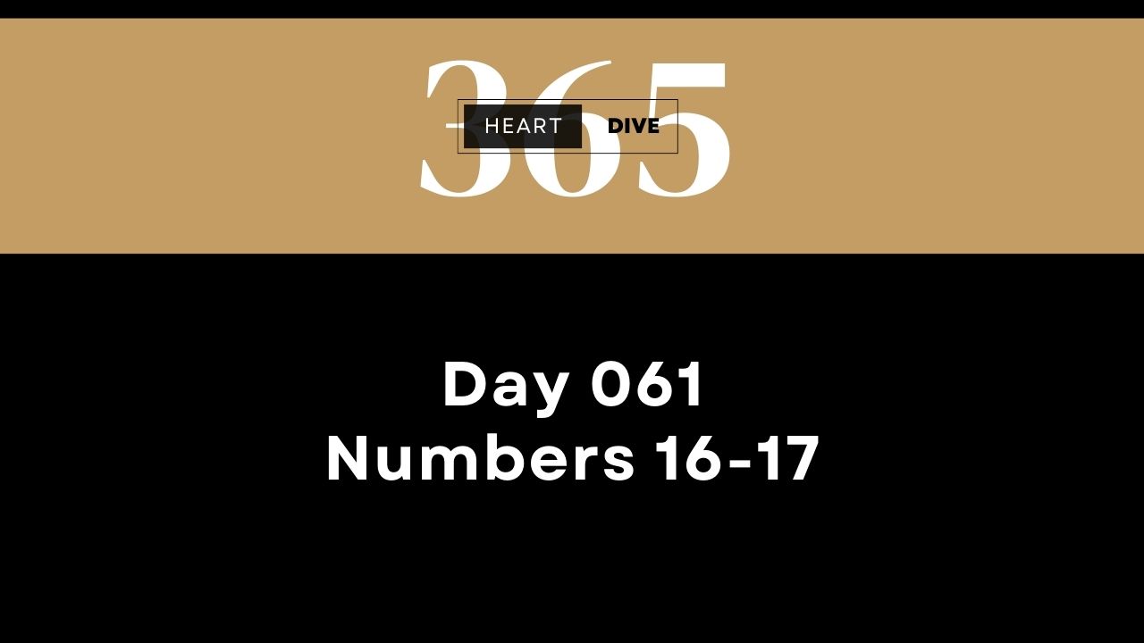 2024 - heartdive.org