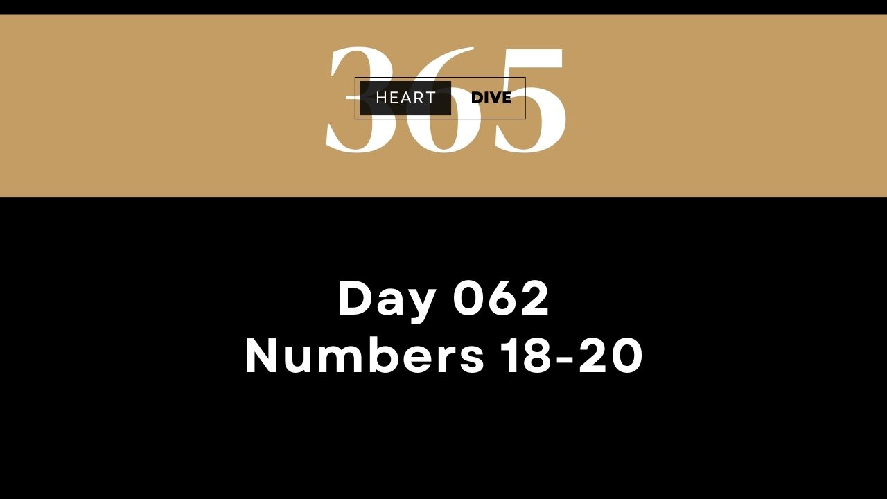 2024 - heartdive.org