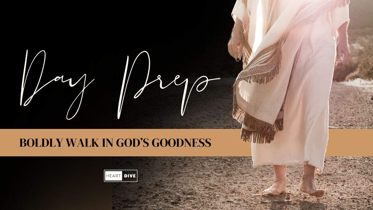 Blog - heartdive.org